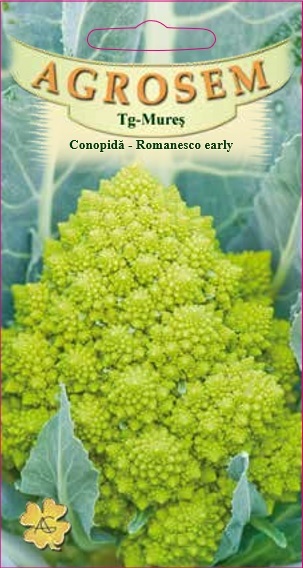 Conopida Romanesco Early 1 gr. - planterra.ro | viata pe verde