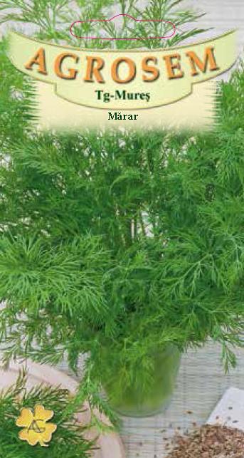 Mărar 4 gr. - planterra.ro | viata pe verde