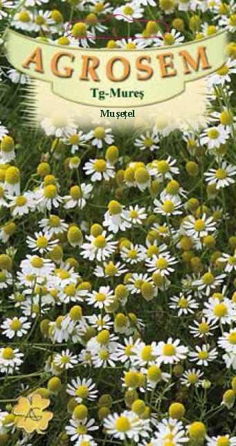 Mușețel 0,3 gr. - planterra.ro | viata pe verde